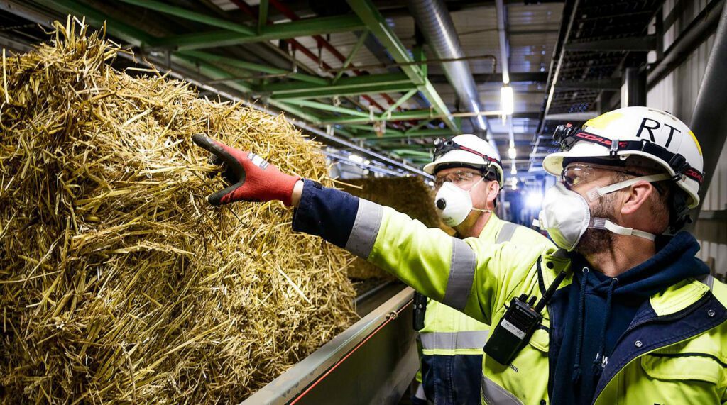 Sustainability Management - BWSC